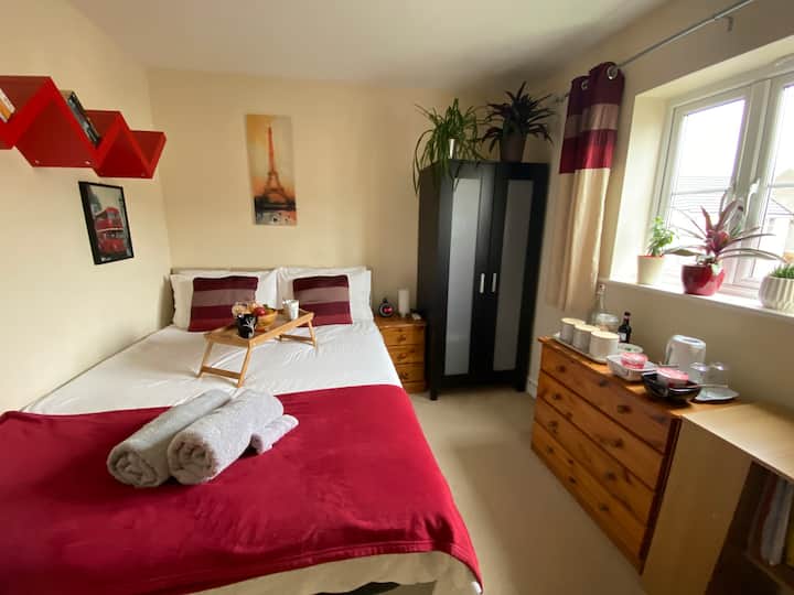 Cosy Cocoon In North Devon - Bideford