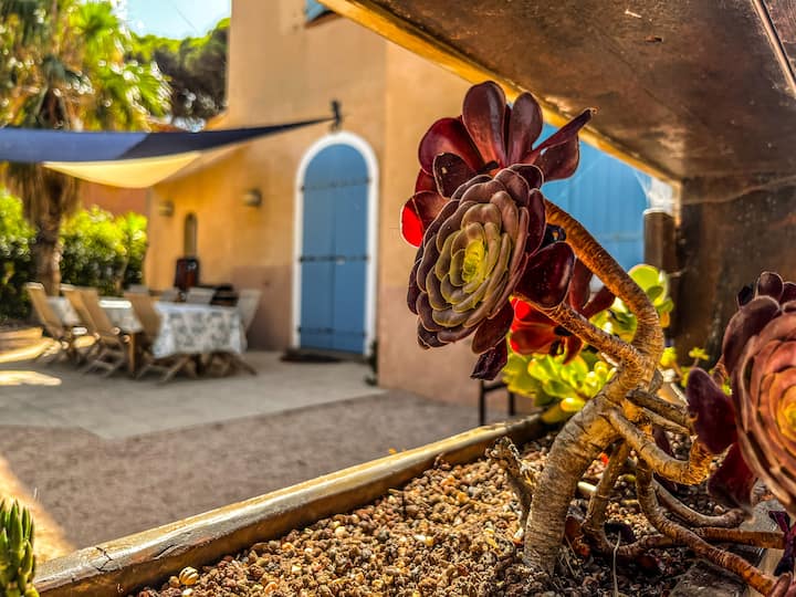 Villa Respiro, 50m De La Plage, Vue Mer - Presqu'île de Giens