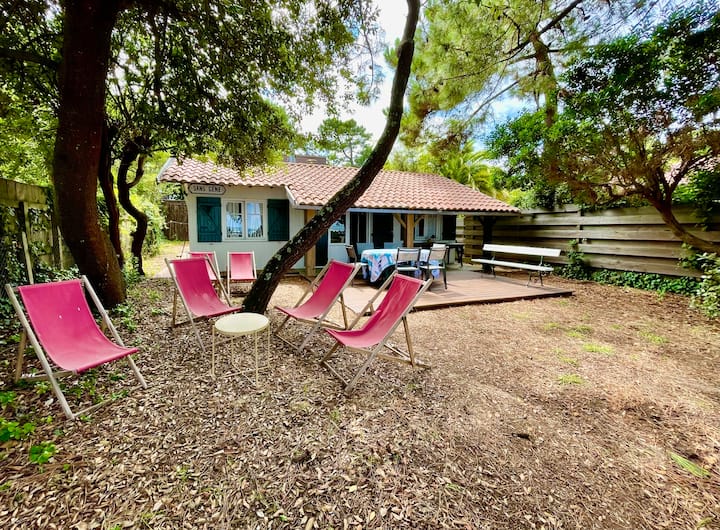 Petite Maison En 1ère Ligne - Vue Bassin - Mimbeau - Cap Ferret