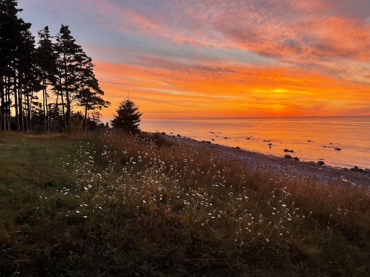 Tiny House On The Ocean - Cape Breton Island