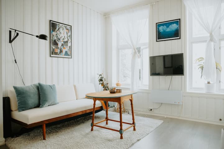 1br Cute Flat In Centrum + Beautifull Street - Oslo