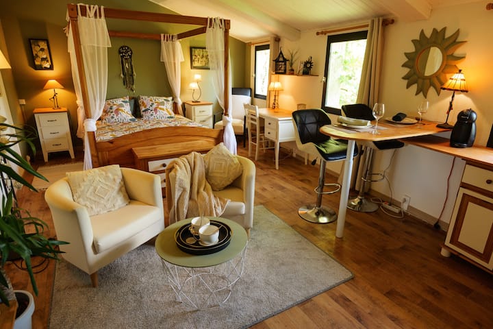 Studio Coquet Et Confortable - Villeneuve-lès-Avignon