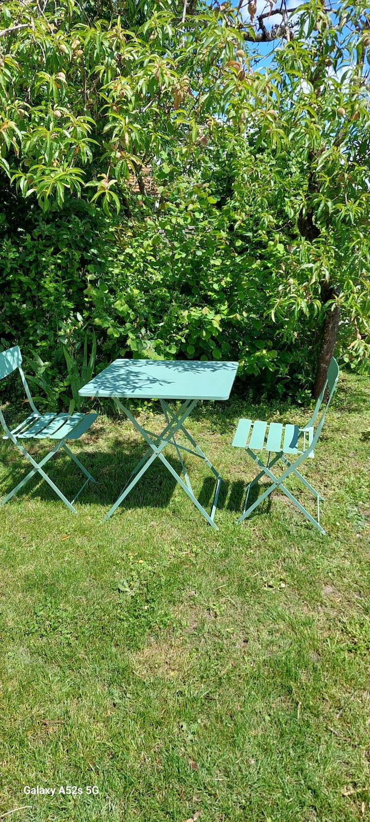 "La Rucherie"
Chambre D'hôte - Montrichard