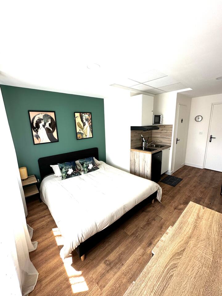 L'emile Zola 2 : Studio Cosy Green En Hyper Centre - Saint-Quentin