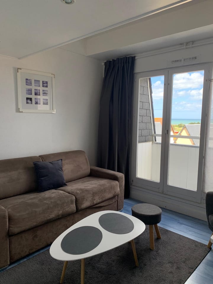 Blue, Studio Avec Vue Mer Et Matelas En Mezzanine - Normandie