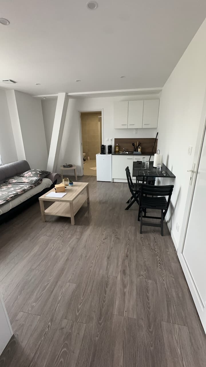 Petite Venise Parking Privé Gratuit Centre Ville. - Colmar