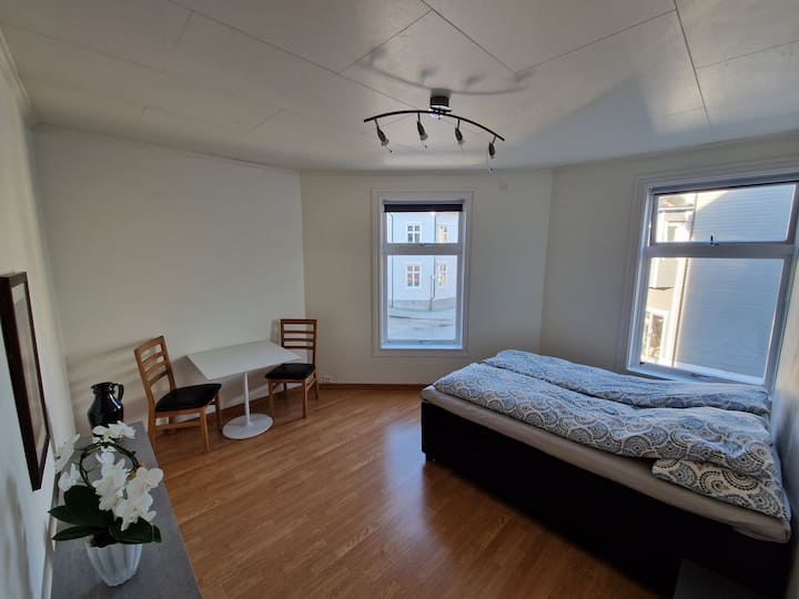 Downtown Retreat Oasis! - Alesund