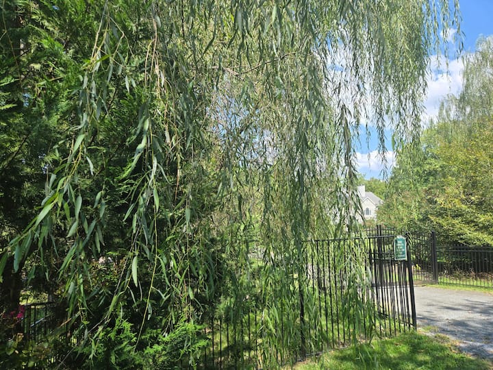 Beautiful 1 Br Walkout Fenced-gated Villa Property - Great Falls, VA