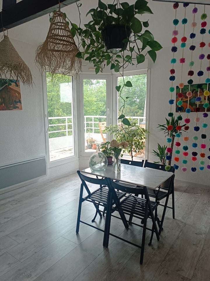 Superbe Duplex 52m2 Avec Terrasse Sur Parc. - Caen