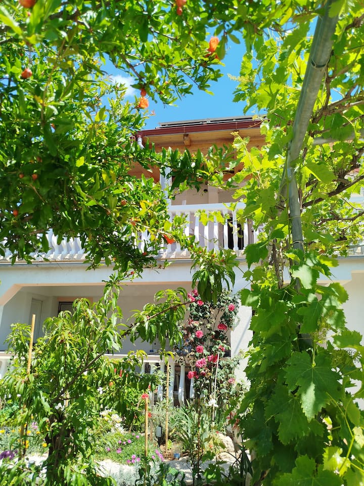 Apartmani Kipas 2 - Vir