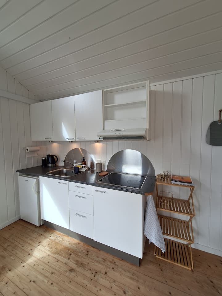Hyggeligt Anneks Med Eget Køkken Og Bad - Skagen