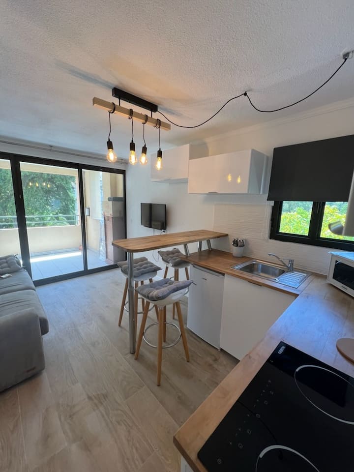 Studio Neuf Calme, Piscine, Terrasse & Clim - Cannes