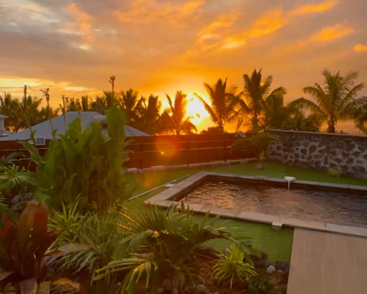 La Villa Aux Palmiers - Saint-Pierre