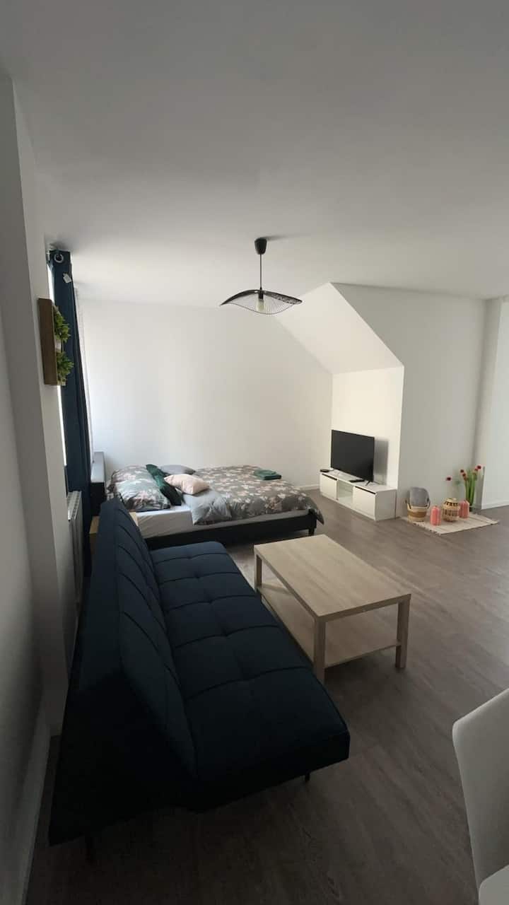 Colmarienne Parking Privé Et Gratuit Centre Ville - Colmar