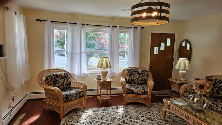 Arlington Home-great Location, Style & Comfort - Arlington, VA