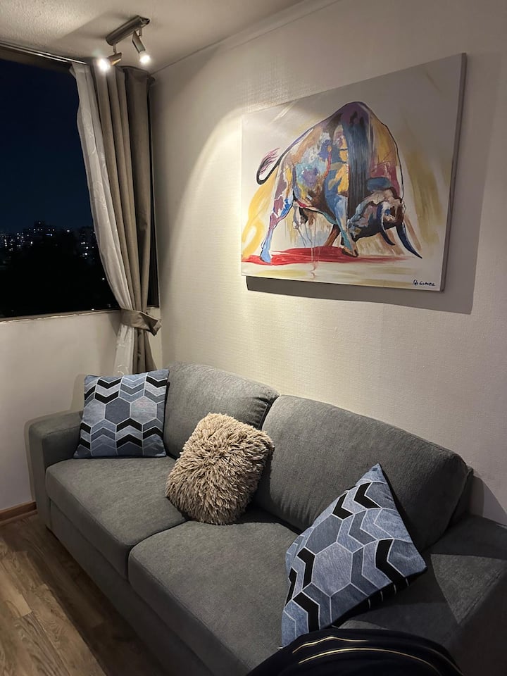 Apartamento Hotel Bellas Artes - Santiago