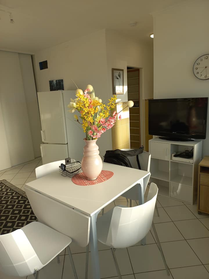 Beau Studio Tout éQuipé - Balcon - Mulhouse