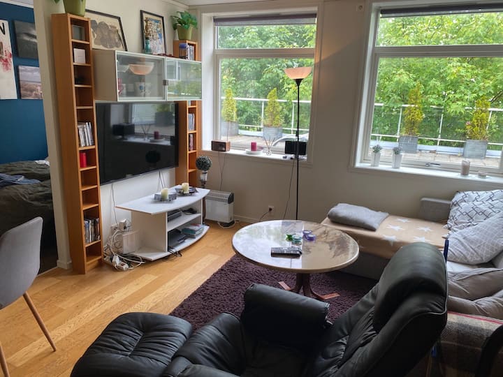 Sentralt Og Praktisk ! - Aéroport de Bergen (BGO)