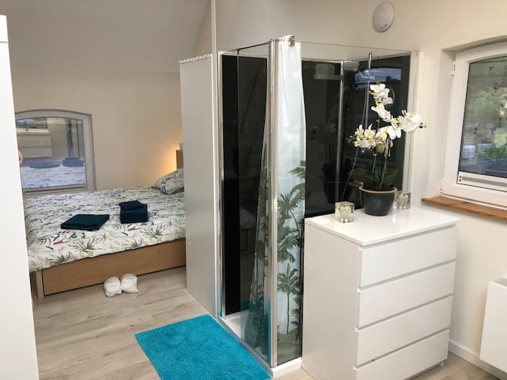 Quiet Luxury Home - 3 Parking Spots On Property - Mechelen