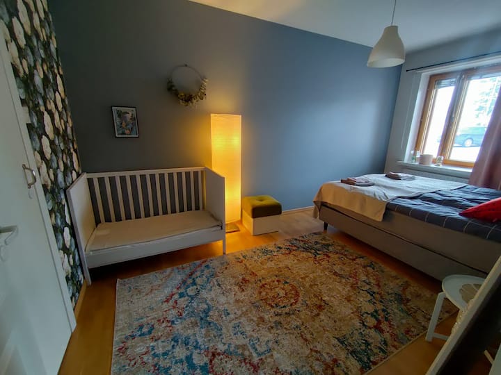 Cozy 2 Room Flat Downtown (Free Parking) - Rovaniemi