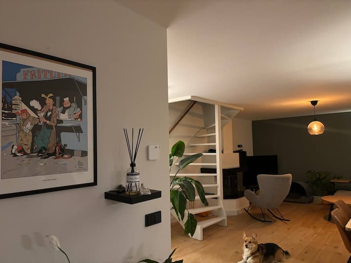 Experience Zaandam Mills & Amsterdam City Vibes - Zaandam