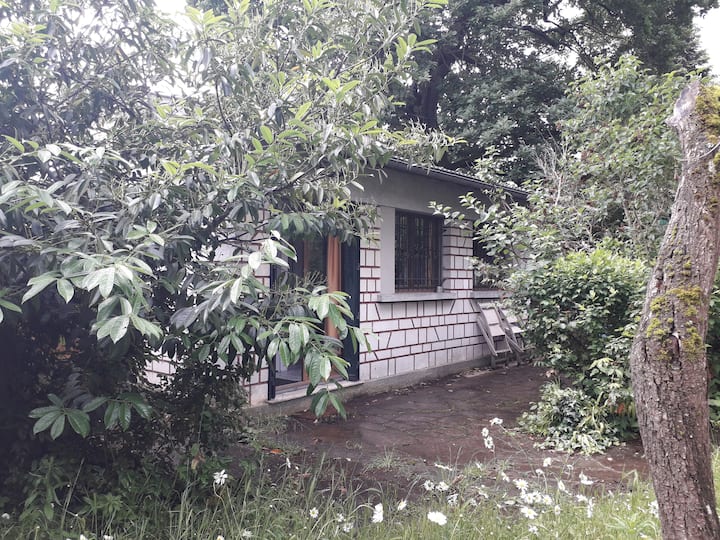 Studio Dans Maisonnette - Champigny-sur-Marne