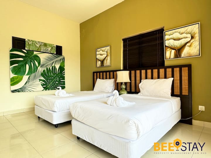 Studio | Gold Coast Morib [A1101] - Morib