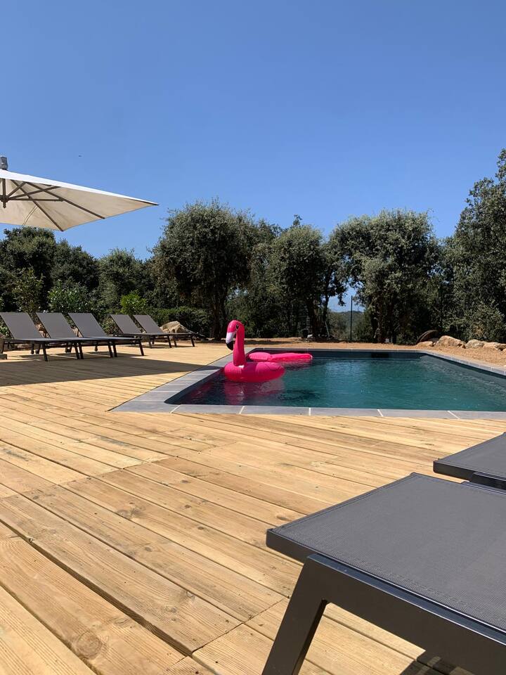 Magnifique Appartement 3 Pièces - Piscine Partagée - Forêt de Bonifatu