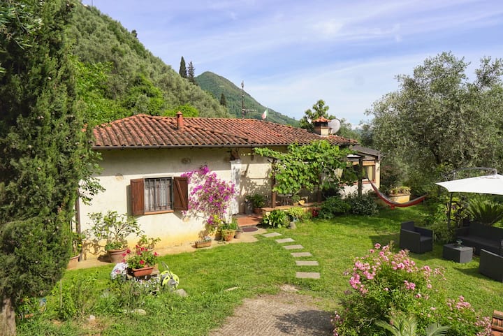 Casa Luisella - Camaiore