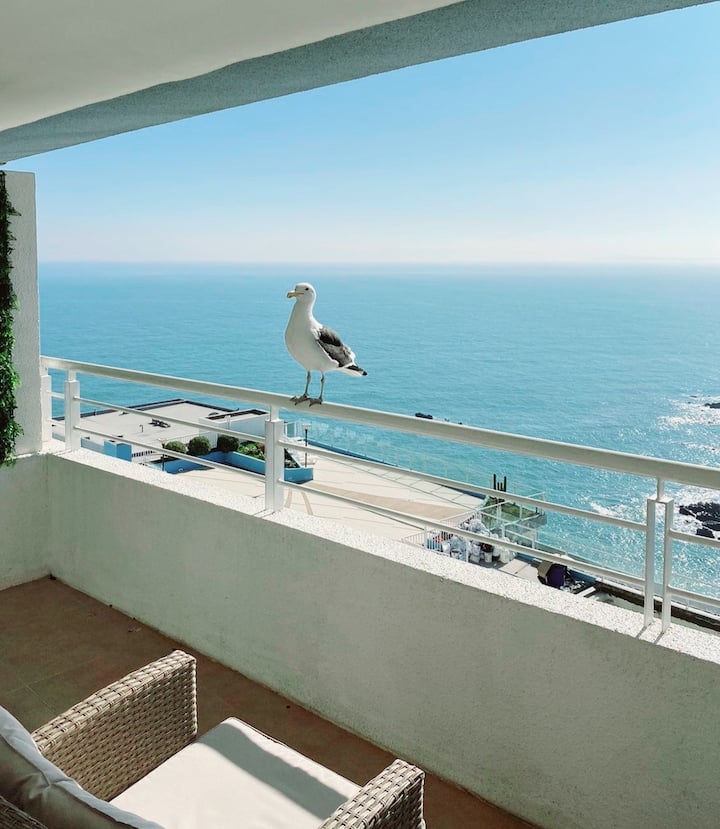 Apt Joyful Sea 2be /2ba With Clear View - Chili