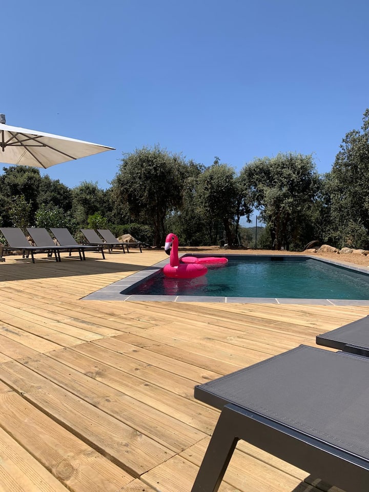 Confortable Appartement 3 Pièces -Piscine Partagée - Forêt de Bonifatu
