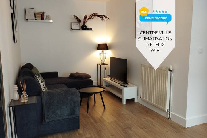 Appartement Cosy Et Rénové - Ibis Budget Bourgoin Jallieu Centre