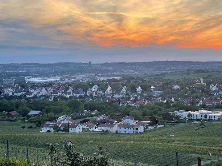 Wohnung Mit Blick Auf Stuttgart, Stadion, Wasen. - Stuttgart