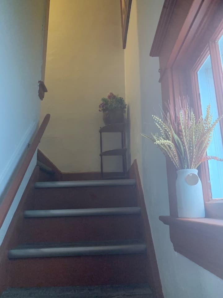 A Small But Cute Room At Broadway Ave - Regina