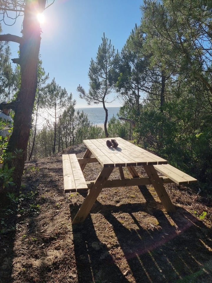 Au Pied De La Dune, Accès Privé à La Plage - Ranska
