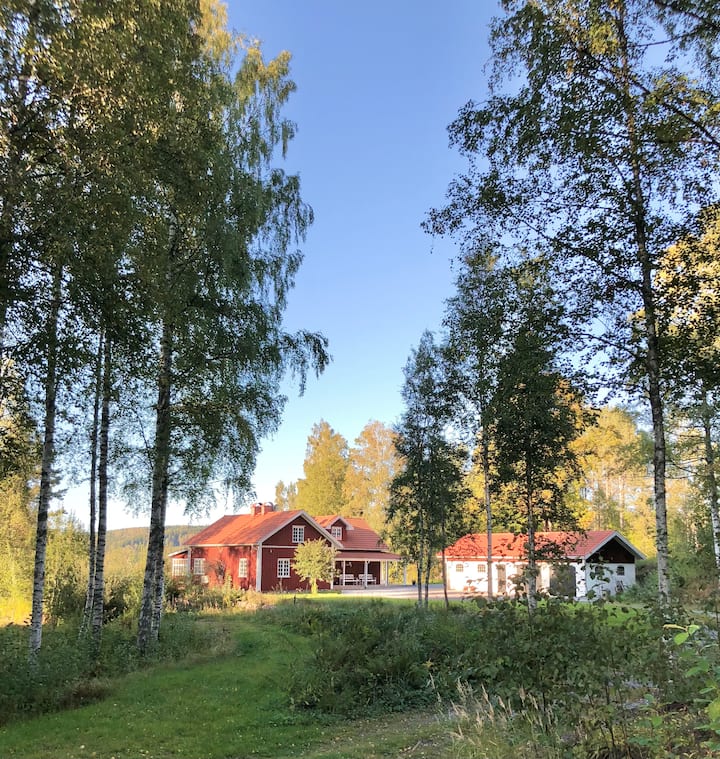 Nature Paradise In The Middle Of The Magic - Sweden