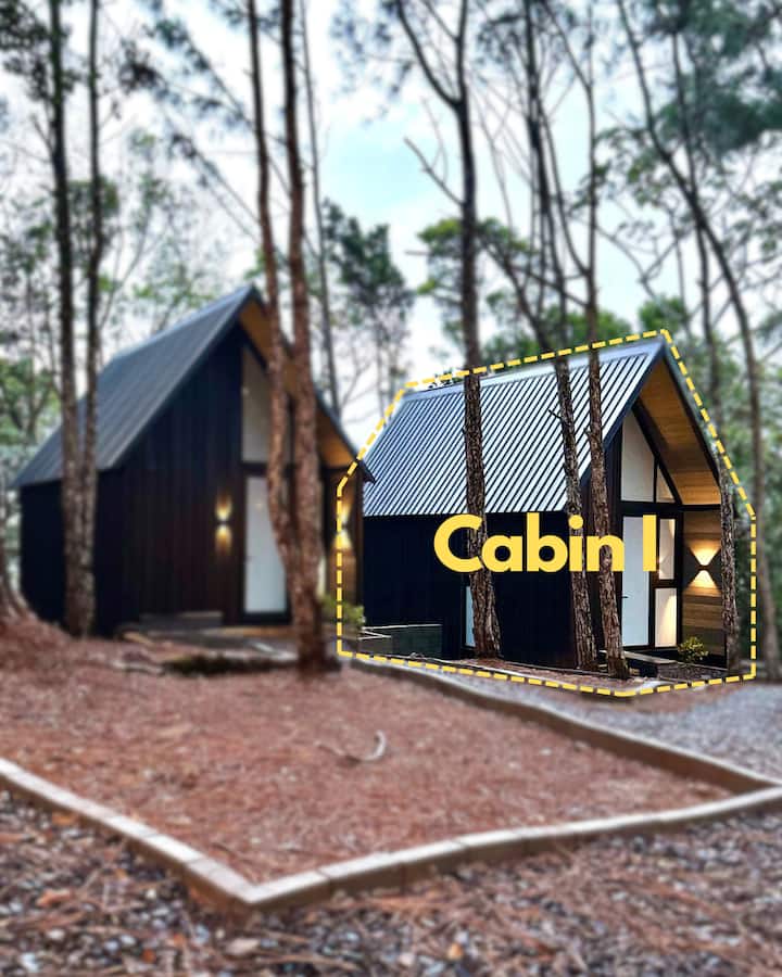 Tiny Cabin | Cerro Azul - Cabin I - Panama sheri