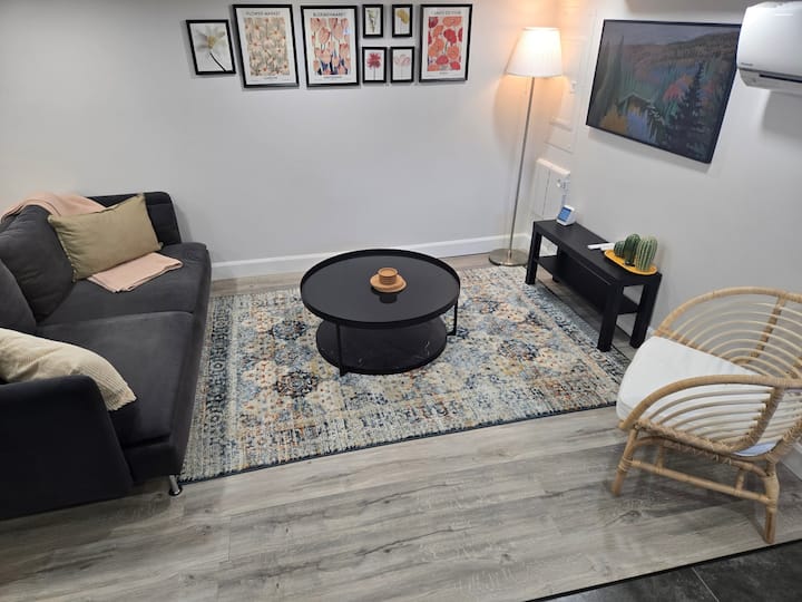 New Modern Basement In Downtown | Little Italy - Toronto
