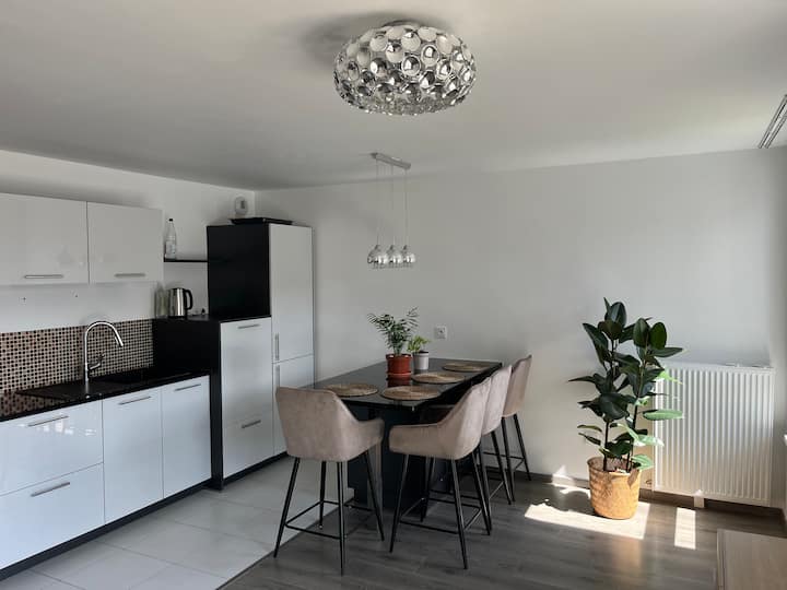 Bedroom In Modern Apartment, 25min From Center - Schiltigheim