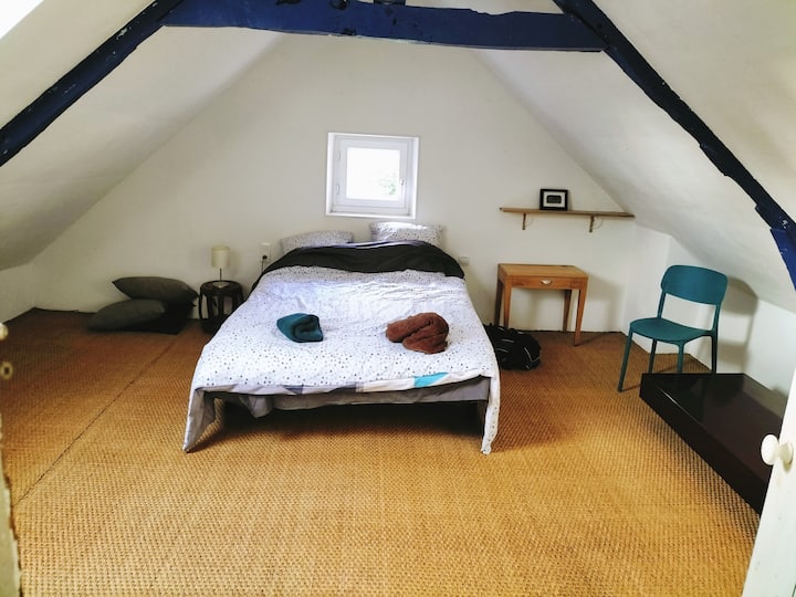 Chambre Quartier Bourg L'évêque - Rennes
