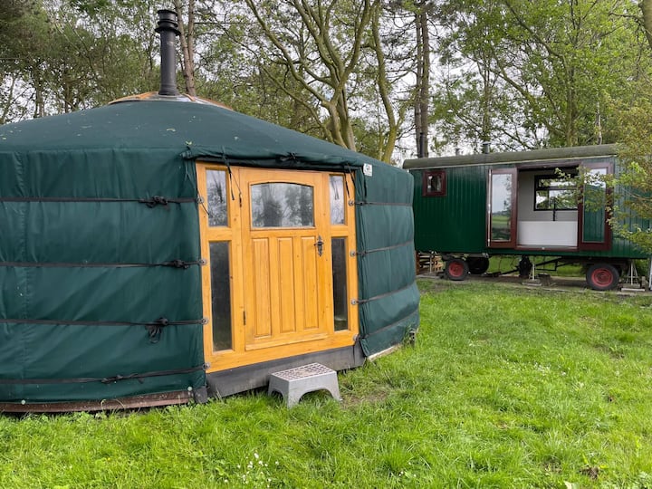 Bijzonder Verblijf In Tiny Forrest En Bollenvelden - Den Helder