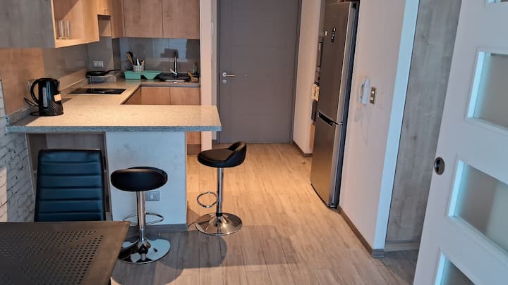 Excelente Departamento - Santiago