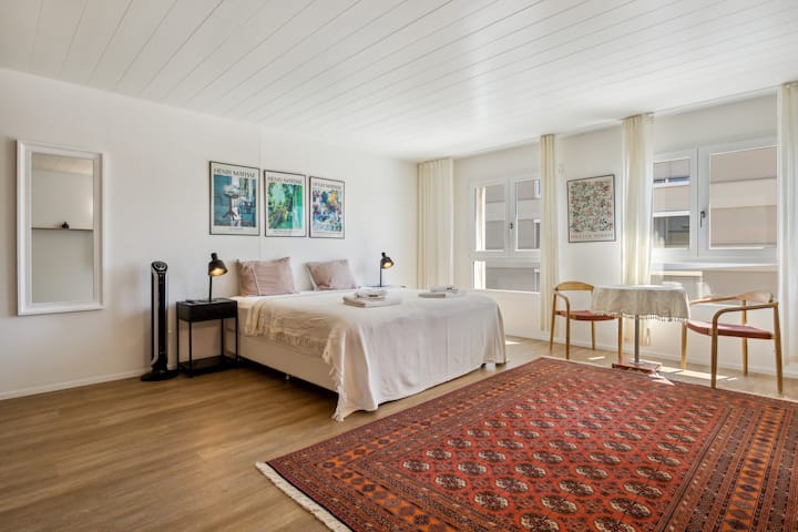 Central Studio Oasis Near Zurich Oerlikon Station! - Zúrich