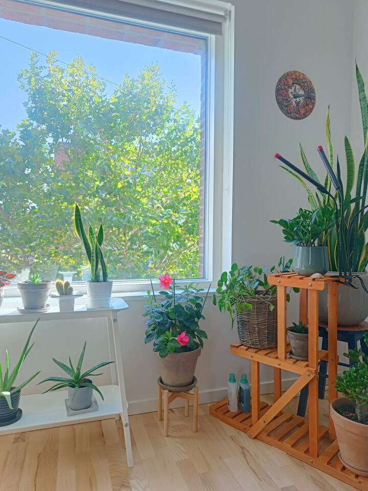 Room In 95 M2 Apartment In Valby - Copenaghen