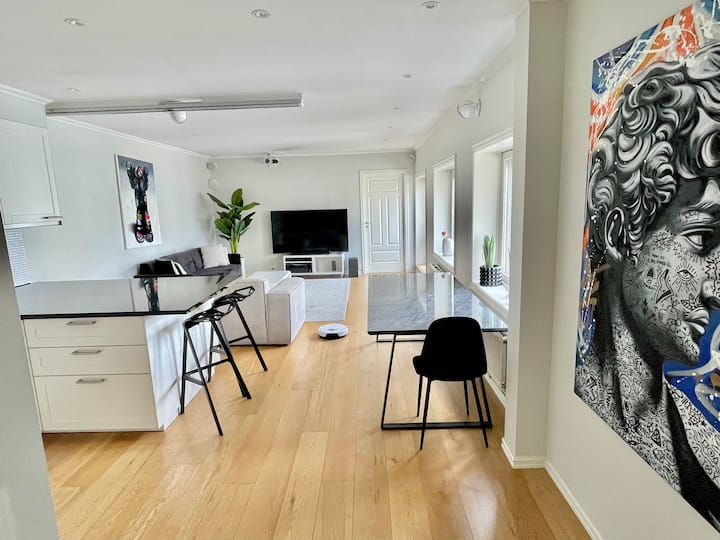 Penthouse In The Heart Of Oslo - Oslo Central Station