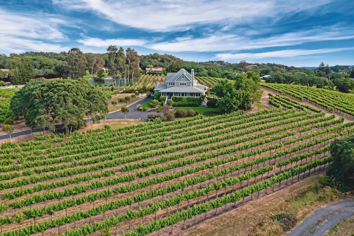 Lux Views Of Alexander Valley 4br/3.5b Pool & Spa - Lambert Bridge Winery, Healdsburg