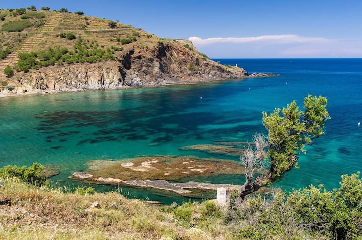 Gîte 8 Pers -Climatisé Avec Jardin- Proche Plage - Saint-Cyprien