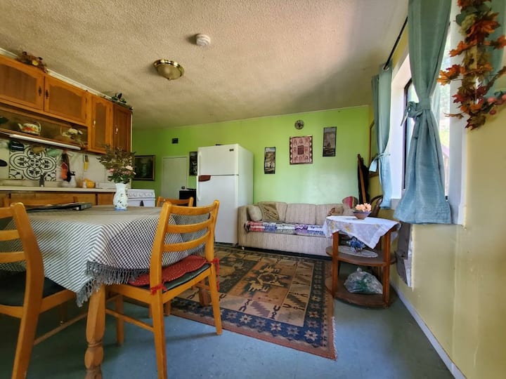 Apartment In Rustic Cabin - Pinecrest, CA