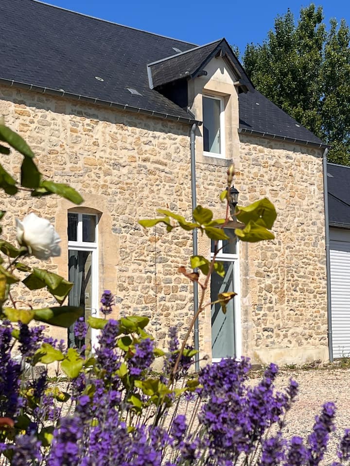 Le 449 - Arromanches-les-Bains
