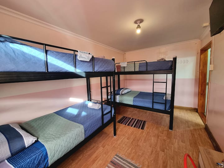 Habitación Con Baño Privado A 3 Calles Del Centro. - Punta Arenas